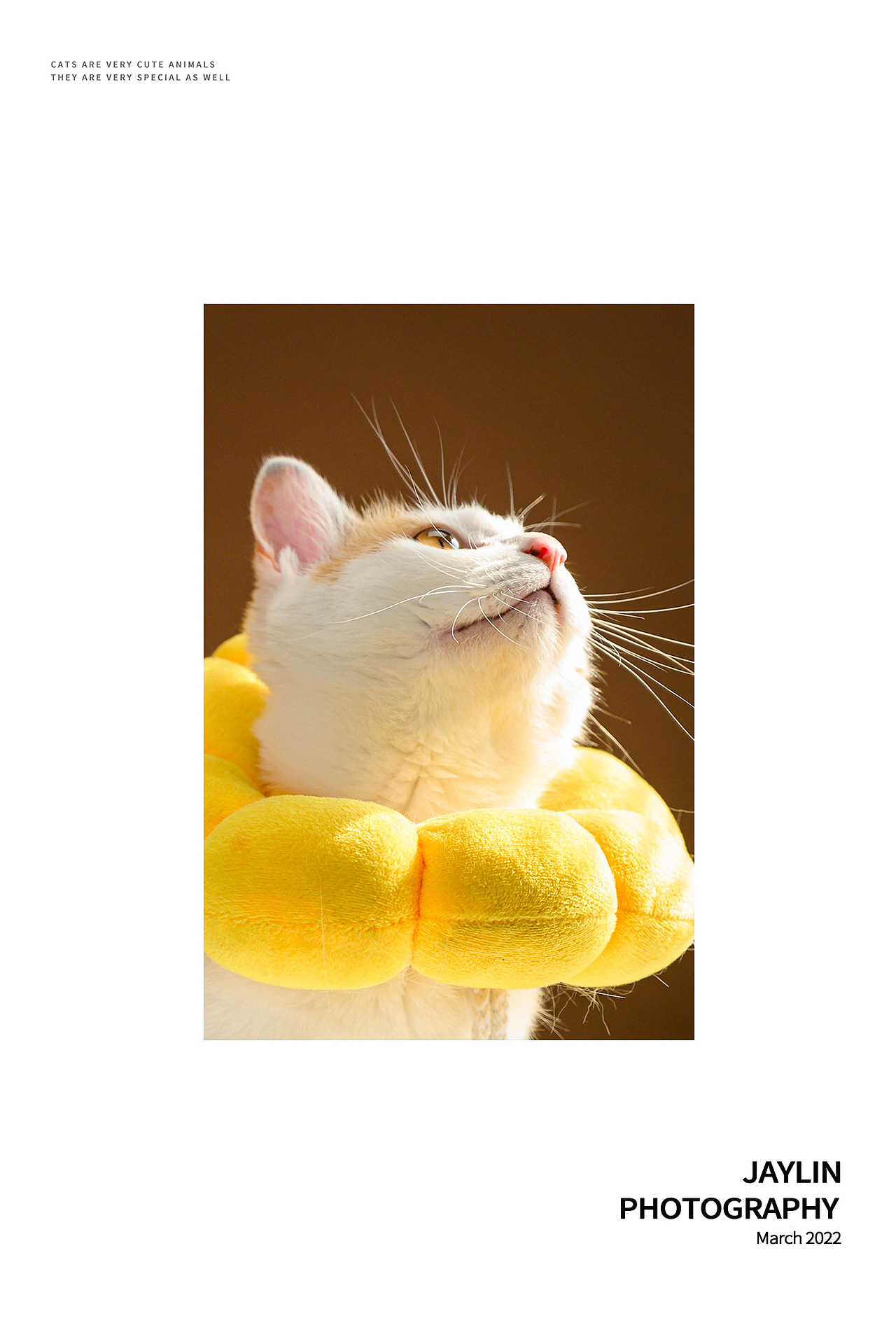 Jaylin｜汤汤日记_阿宅Jaylin-站酷ZCOOL