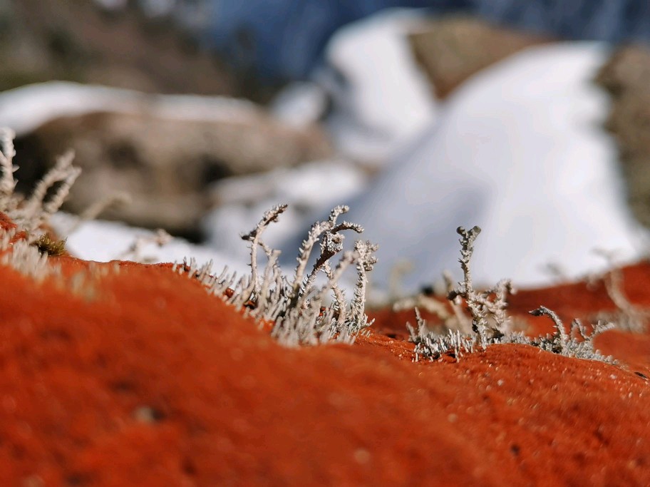 旅行笔记之《秀美川西》_Shadow_Yao-站酷ZCOOL