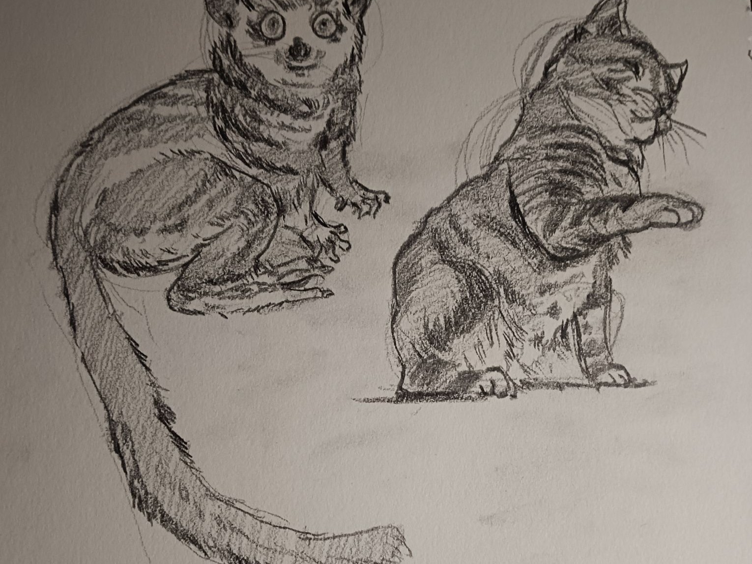 速写022_jsuiz蓿-站酷ZCOOL