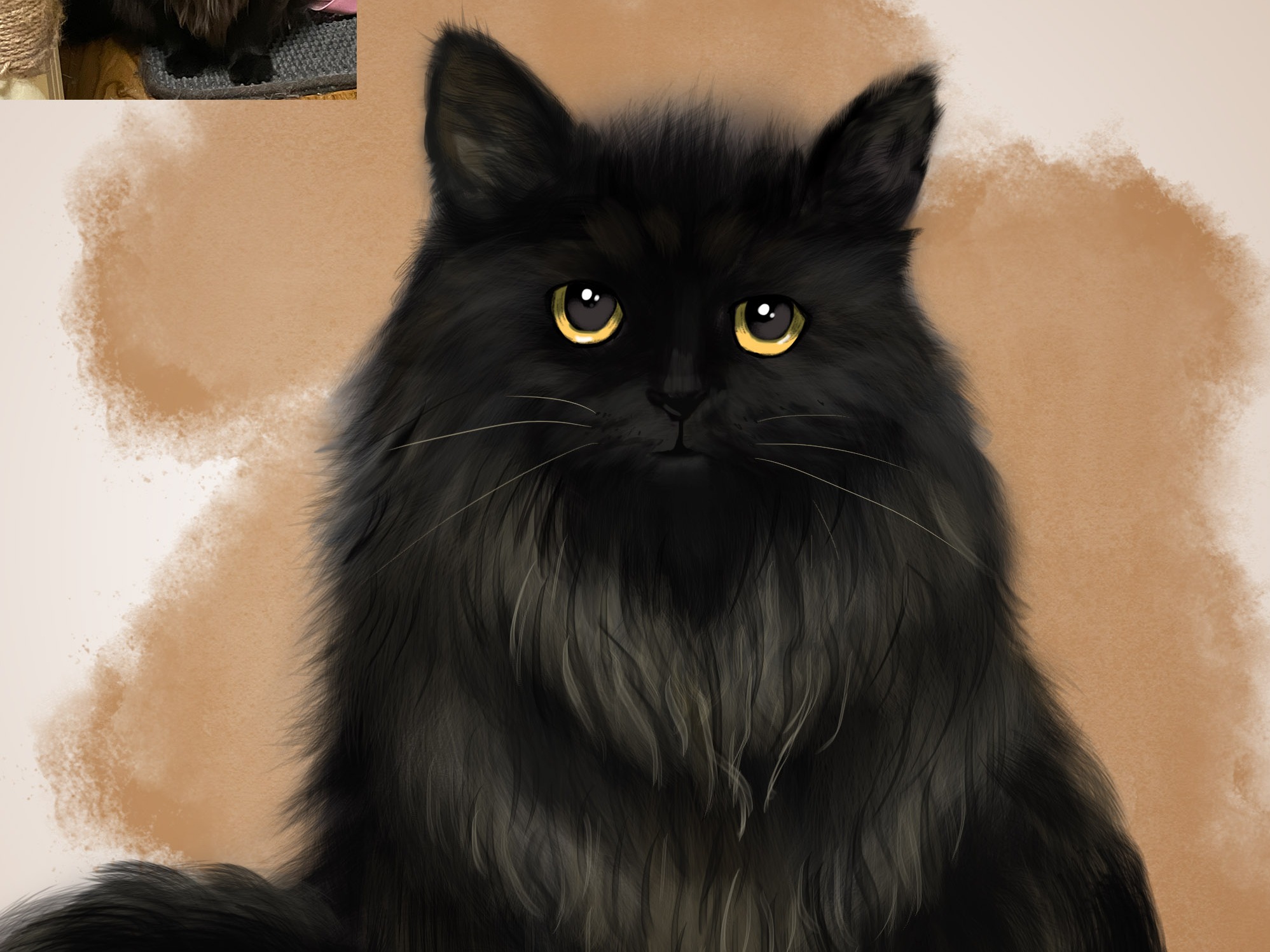 手绘练习-朋友家的一只小黑猫_小xian娴儿-站酷ZCOOL