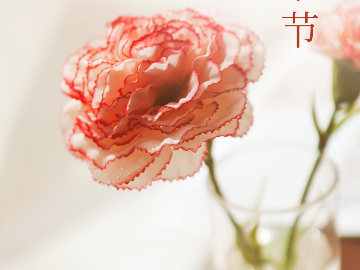 2023母亲节企业营销公司海报节日借势品牌营销设计_MN长夏-站酷ZCOOL