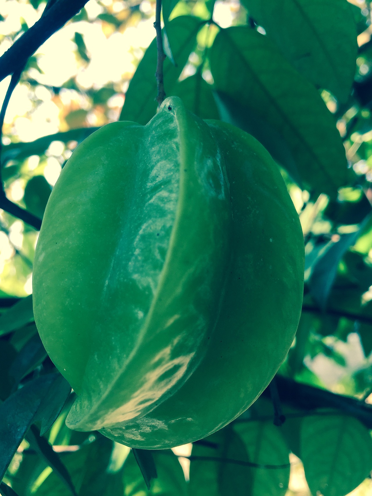 a_曦lip-站酷ZCOOL