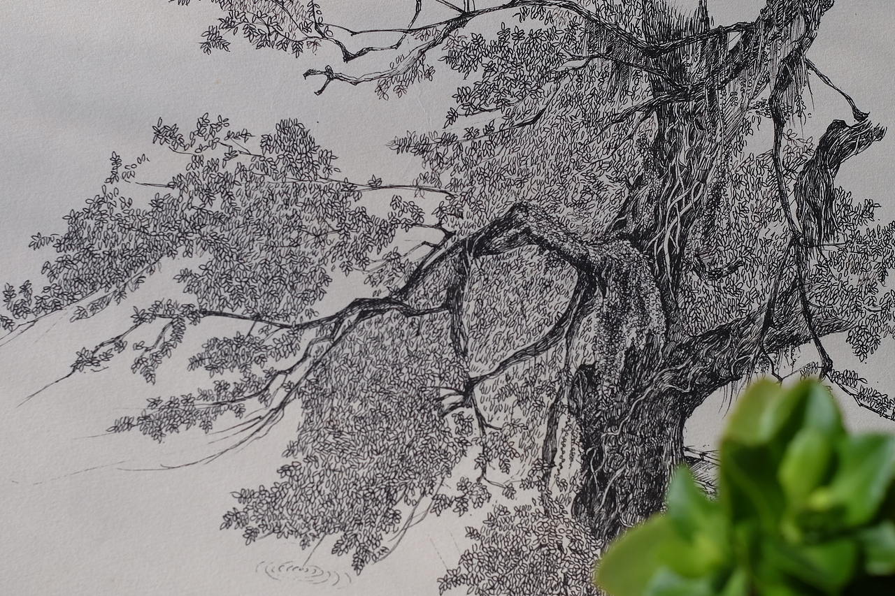 一些风景写生_三文鱼cy-站酷ZCOOL