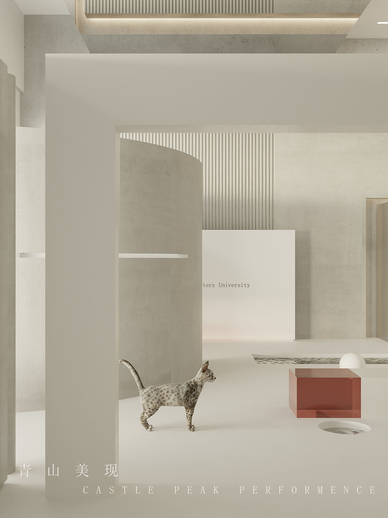 Cat Shop · 一家独特宠物店|空间|家装设计|青山美现_原创作品-站酷ZCOOL