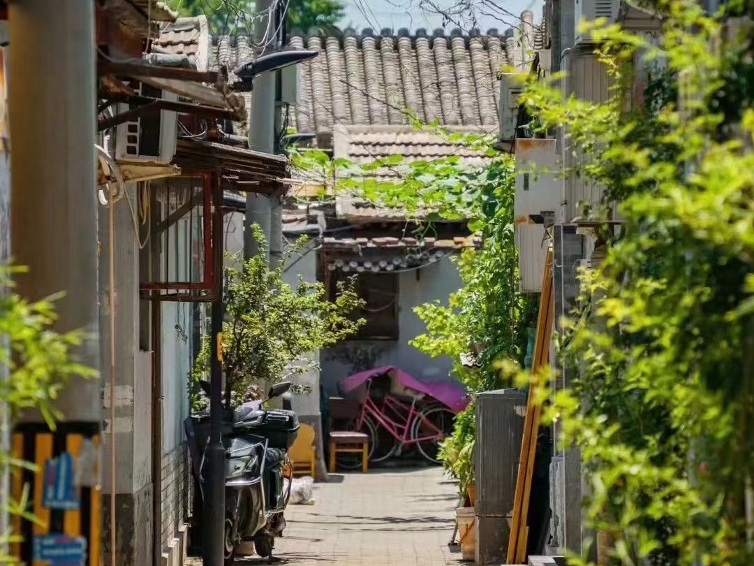 国子监附近的环境还是非常让人舒心的，散散步_Jane1234-站酷ZCOOL