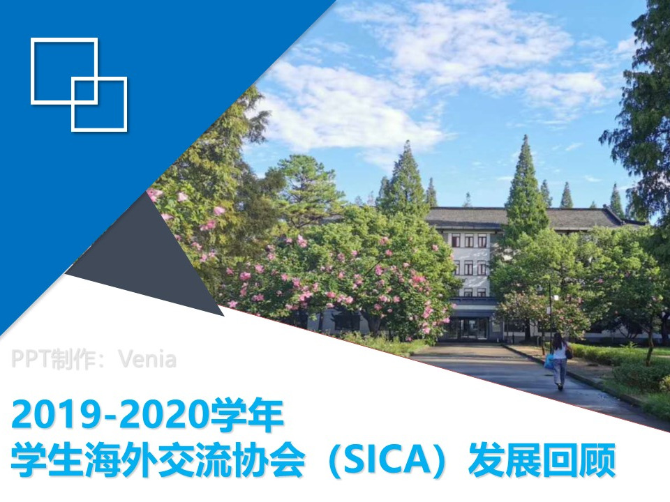 Annual Development Report _Venia333-站酷ZCOOL