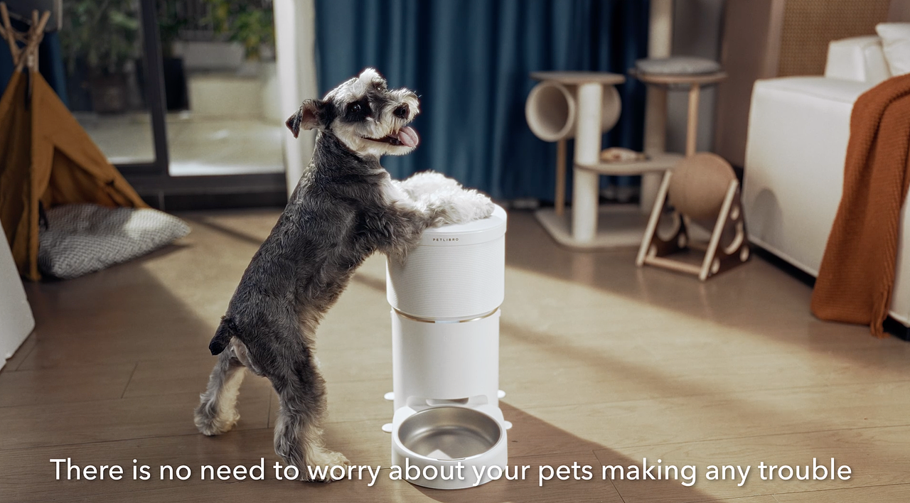 宠物真空喂食器_MY_STUDIO-站酷ZCOOL