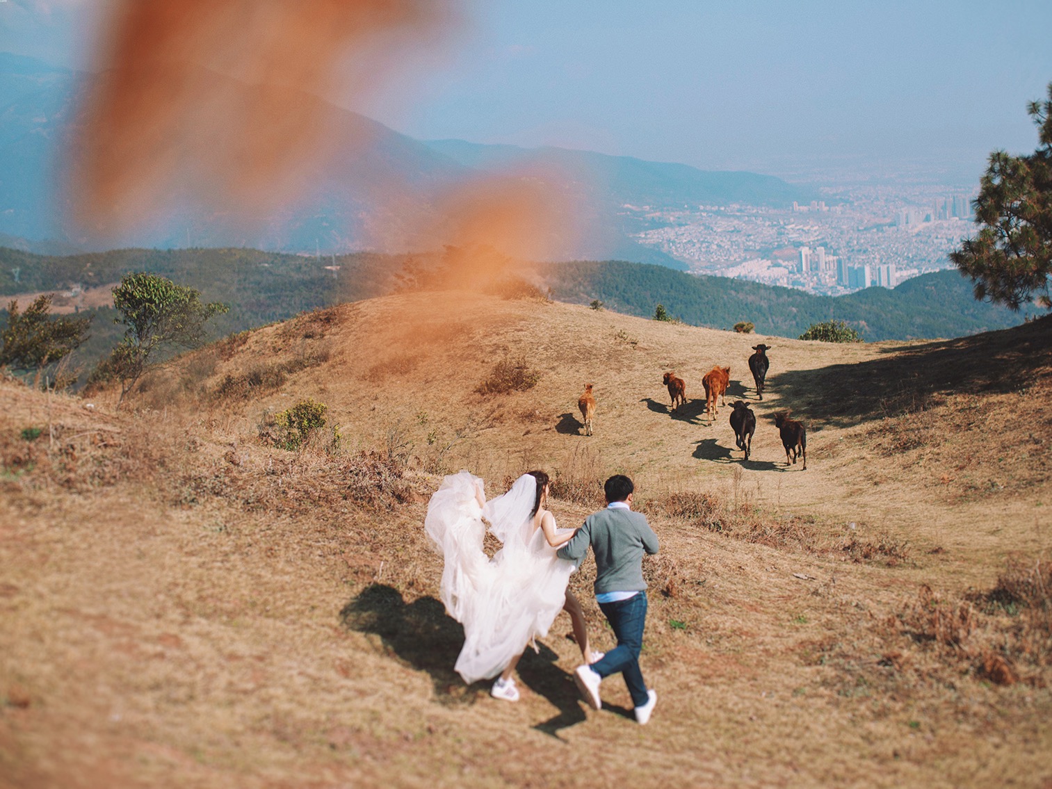 谁说"网恋"不靠谱_Pooma卜马-站酷ZCOOL