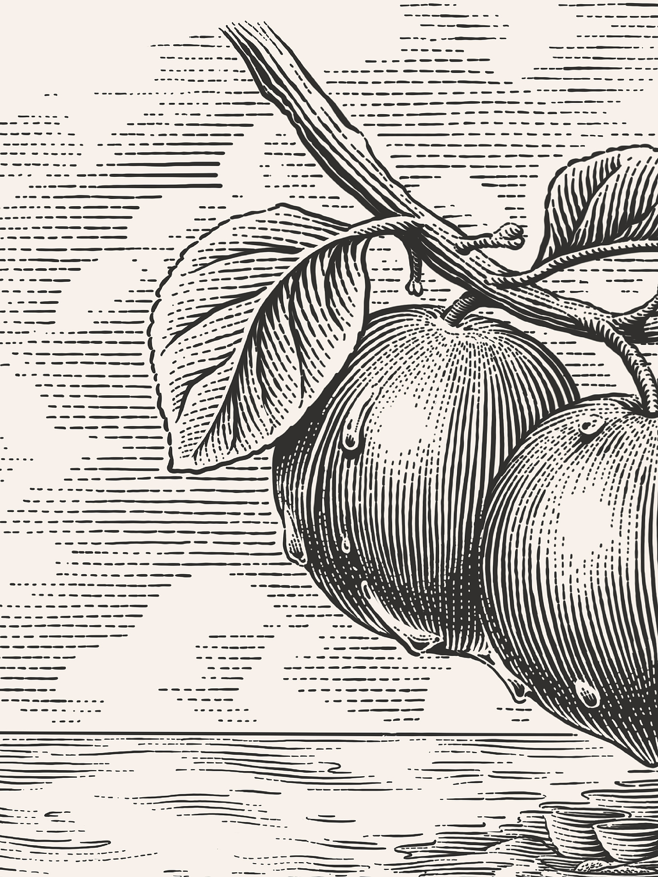 获奖作品|闻香识梅_花椒的Alex-站酷ZCOOL