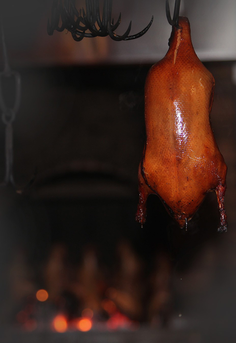 〓河池烤鸭培训红松叶〓ZD美食使者_宝宝5201314-站酷ZCOOL