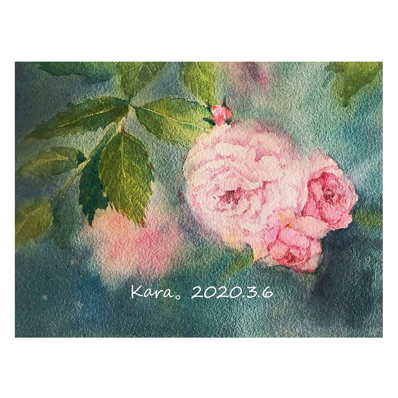 蔷薇_Kara夏天-站酷ZCOOL