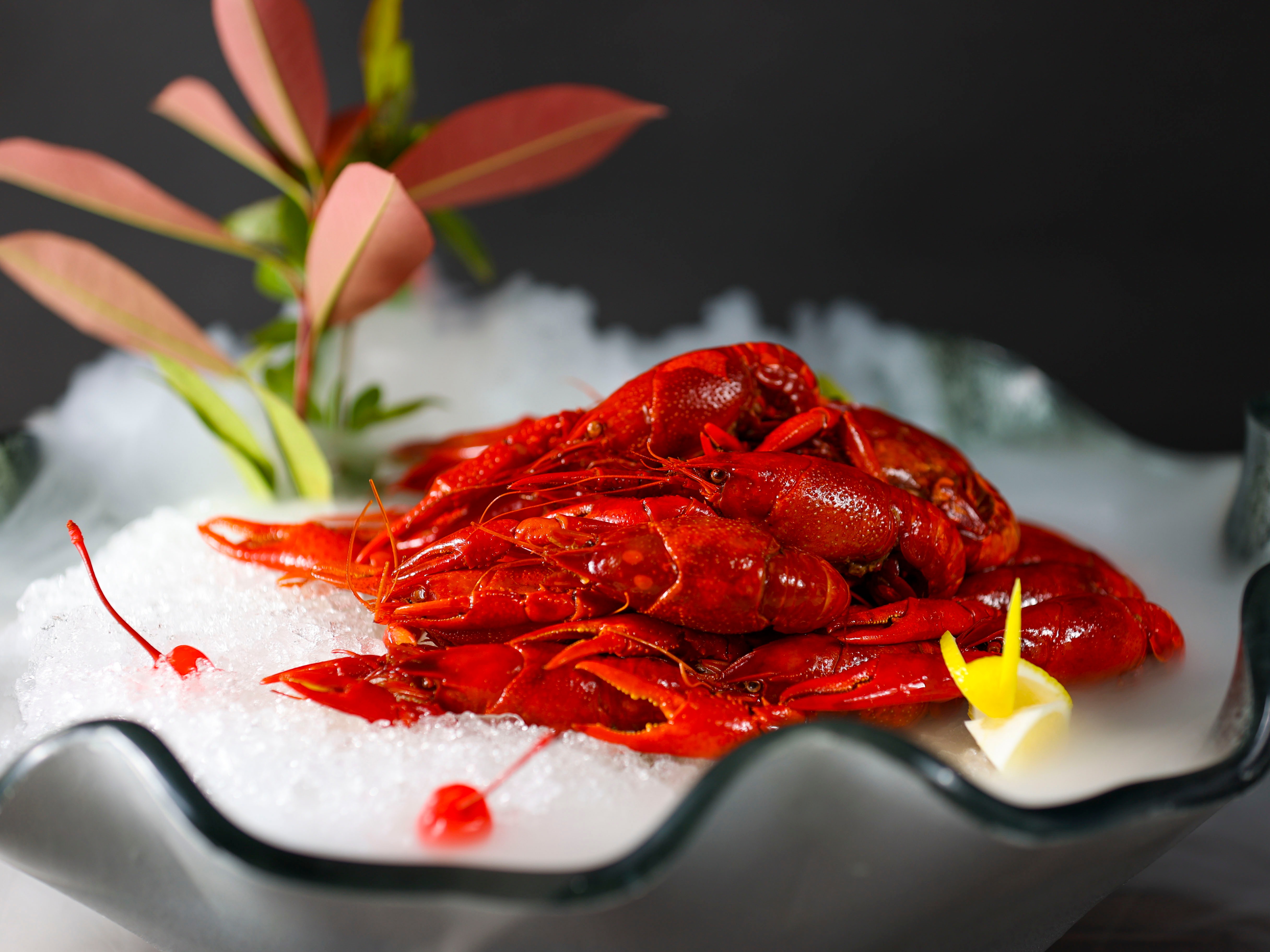 小龙虾_qsjhmx-站酷ZCOOL