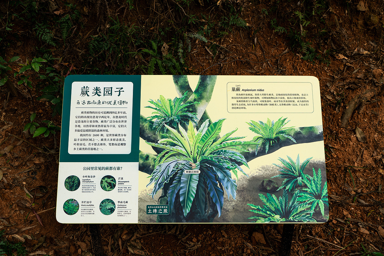 深圳笔架山公园自然教育径--解说牌_进退设计-站酷ZCOOL