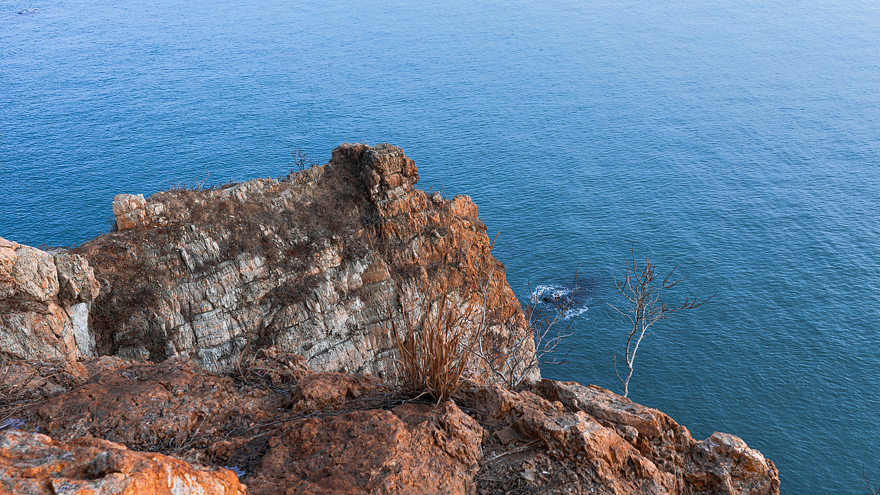 万物有灵×崖边的猫_宋析杨-站酷ZCOOL