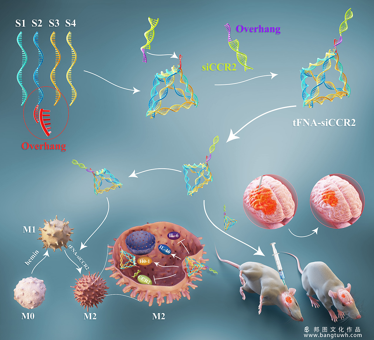 论文配图设计 示意图 TOC作品展示_邦图文化-站酷ZCOOL