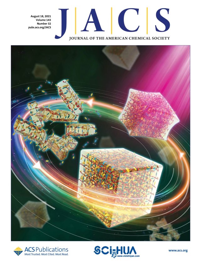 JACS期刊封面图_scihua-站酷ZCOOL