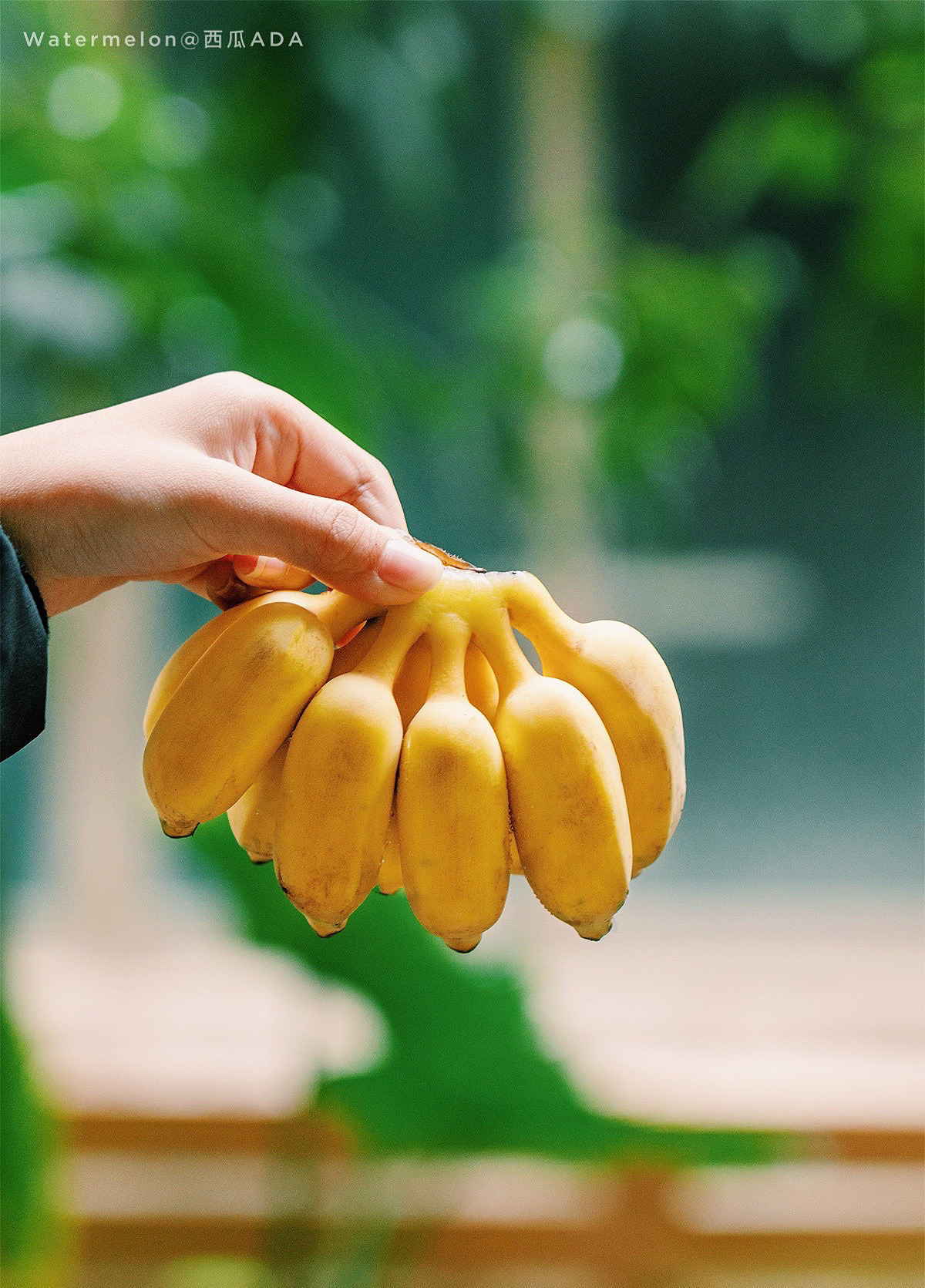 日常_西瓜ADA-站酷ZCOOL