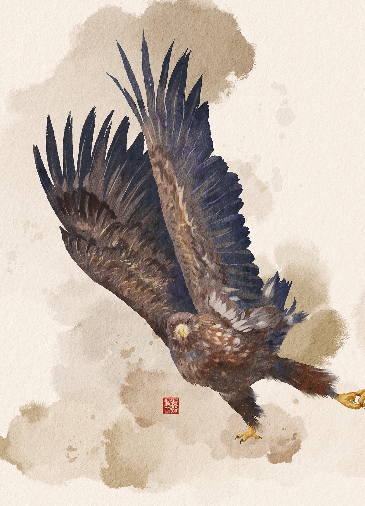 【ipad绘画】翱翔天际的老鹰🦅_zane水彩-站酷ZCOOL