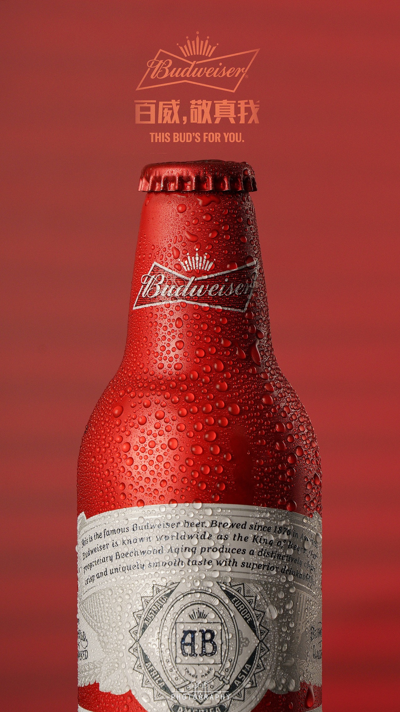 啤酒，百威啤酒_Z56877553-站酷ZCOOL