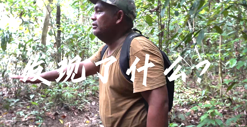 奇幻湃-尖叫吧女神户外探险项目-云豹与鹿_恩洙ena-站酷ZCOOL