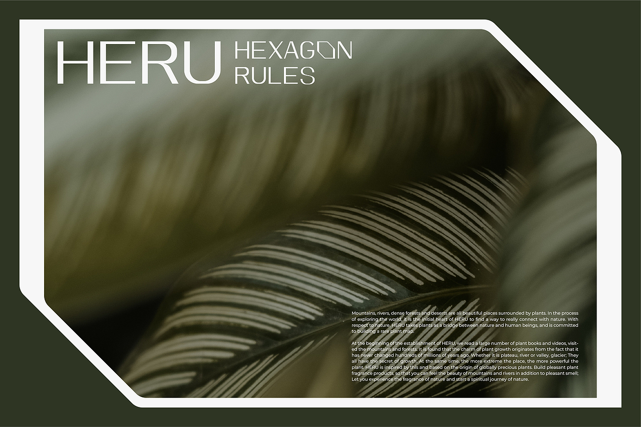 Heru Hexagon Rules THEQ ZCOOL heru-hexagon-rules-theq-zcool