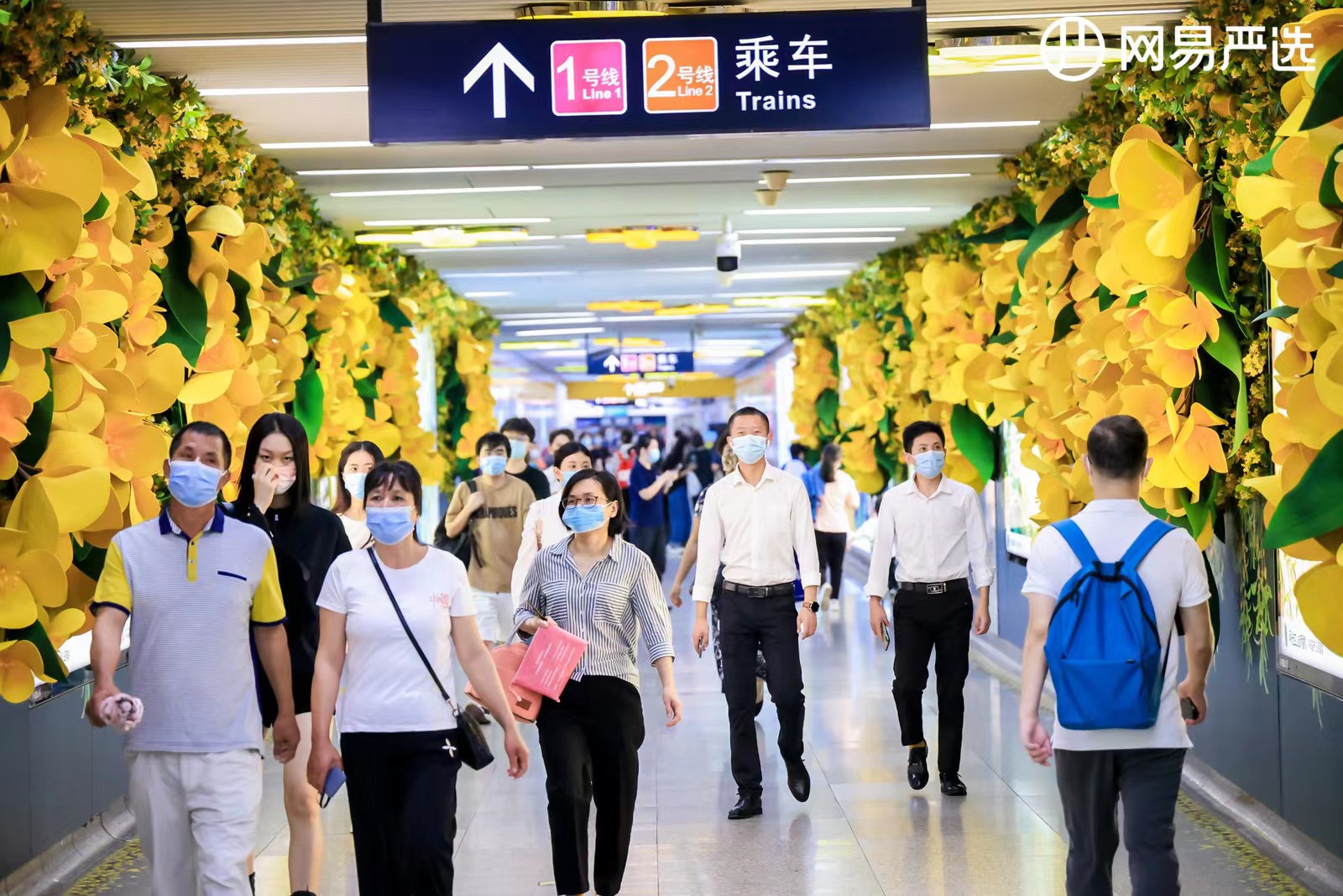 网易严选——空山桂雨香氛国风插画目目桃 站酷zcool