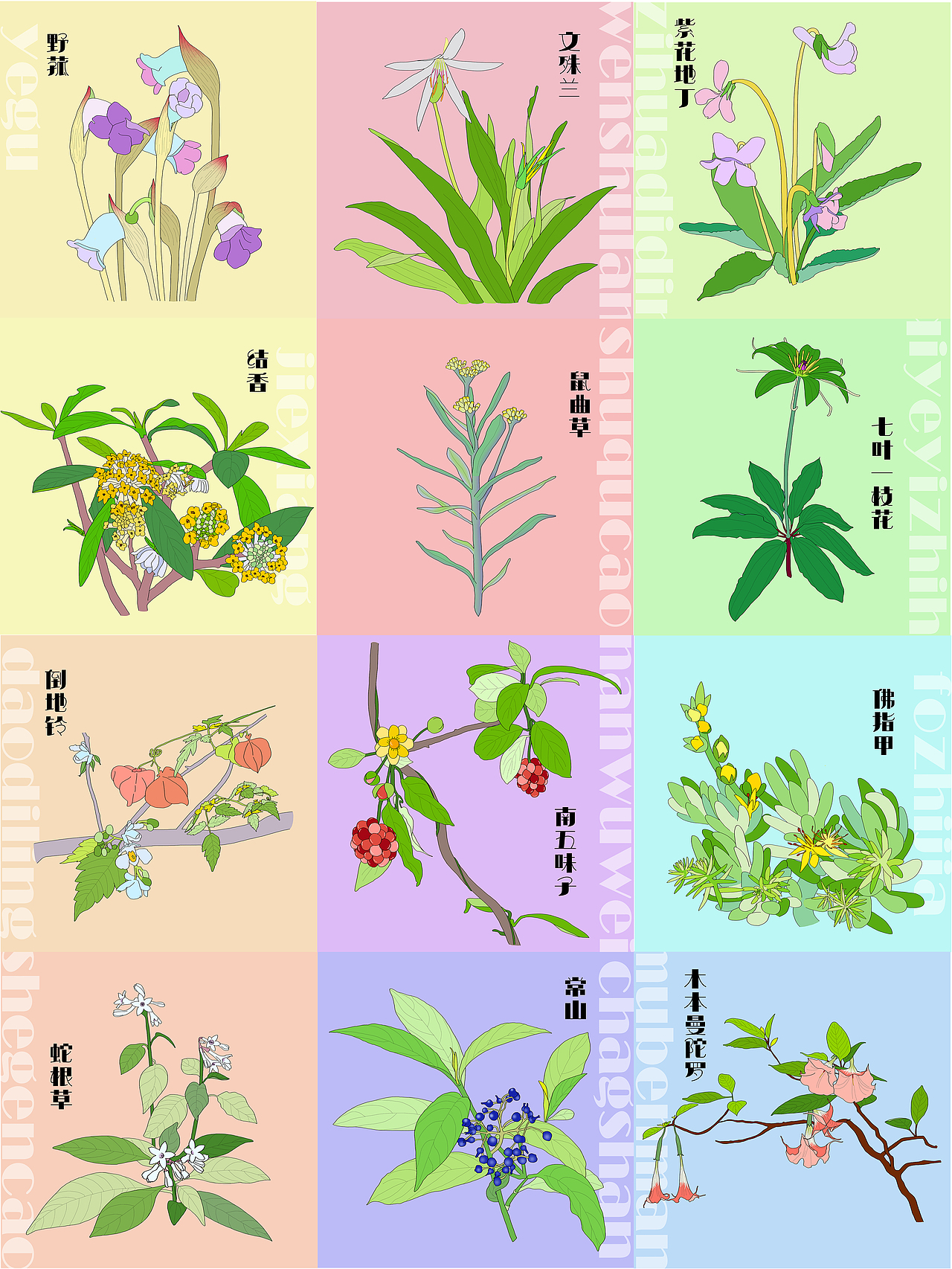 本草植物文创产品_君君JJUN-站酷ZCOOL