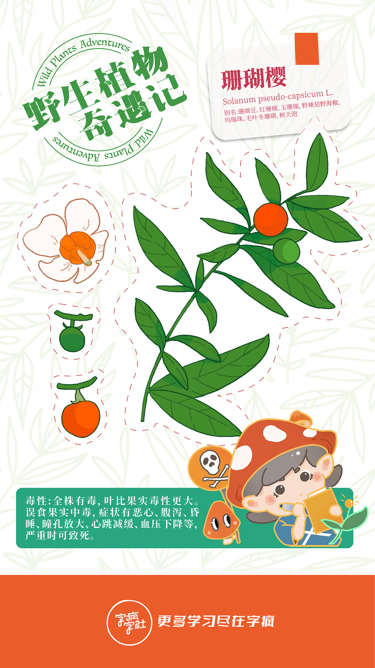 字体版式设计｜野生植物奇遇记_三杰桑wyz-站酷ZCOOL