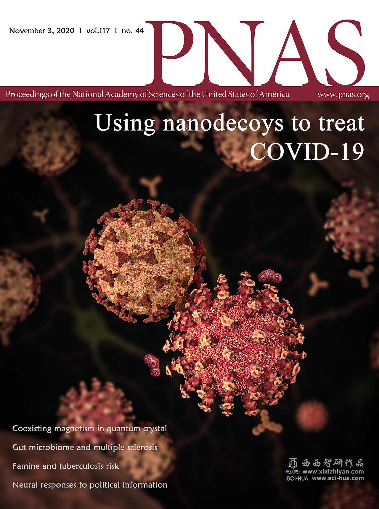 西西智研为复旦大学设计顶级期刊PNAS封面_西西智研-站酷ZCOOL