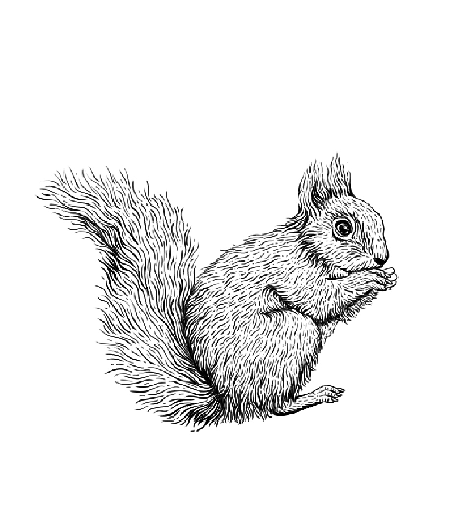 版画风格包装插画|重生幻境_kk奥利-站酷ZCOOL