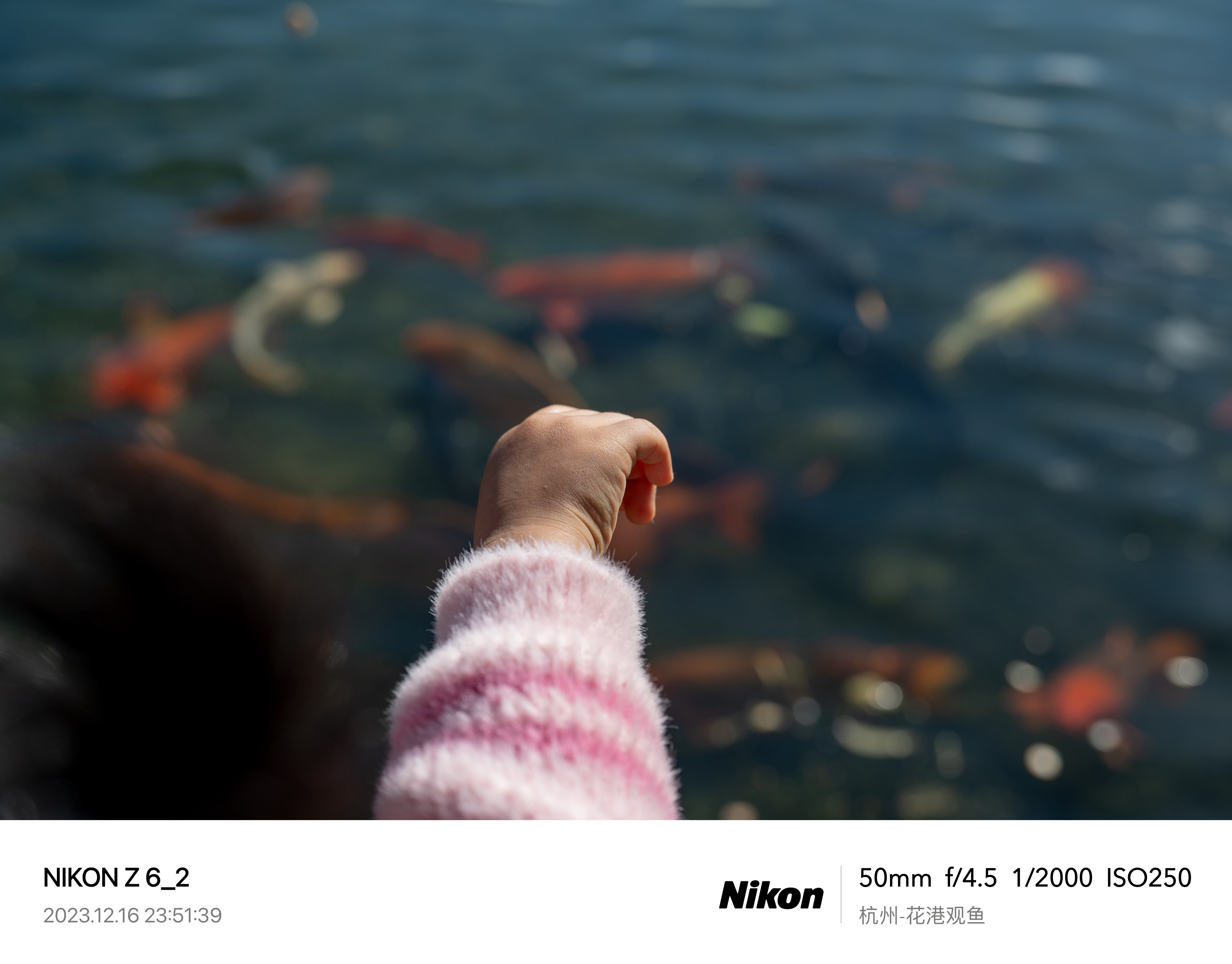 尼康z62西湖一天能拍点啥？_咕咚叮咚咚-站酷ZCOOL