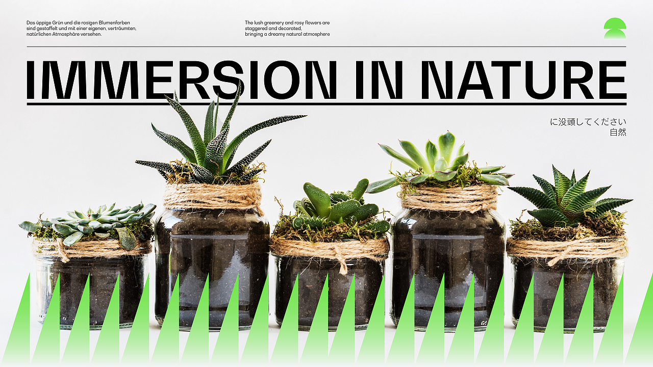 壹伴 | 品牌包装设计_大于等于十四-站酷ZCOOL