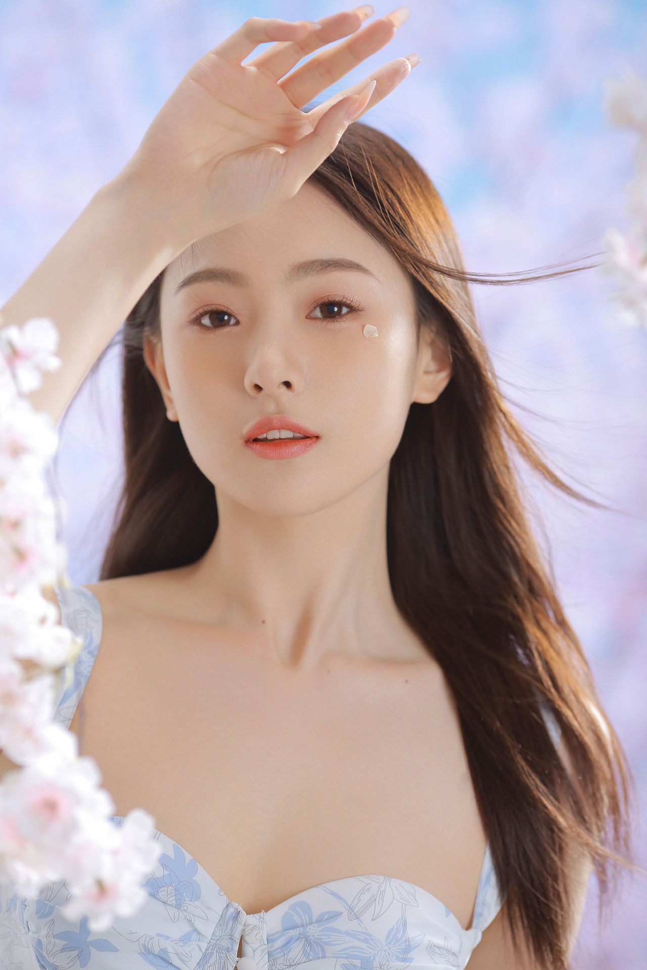 春日樱花_高富民FuminKao-站酷ZCOOL