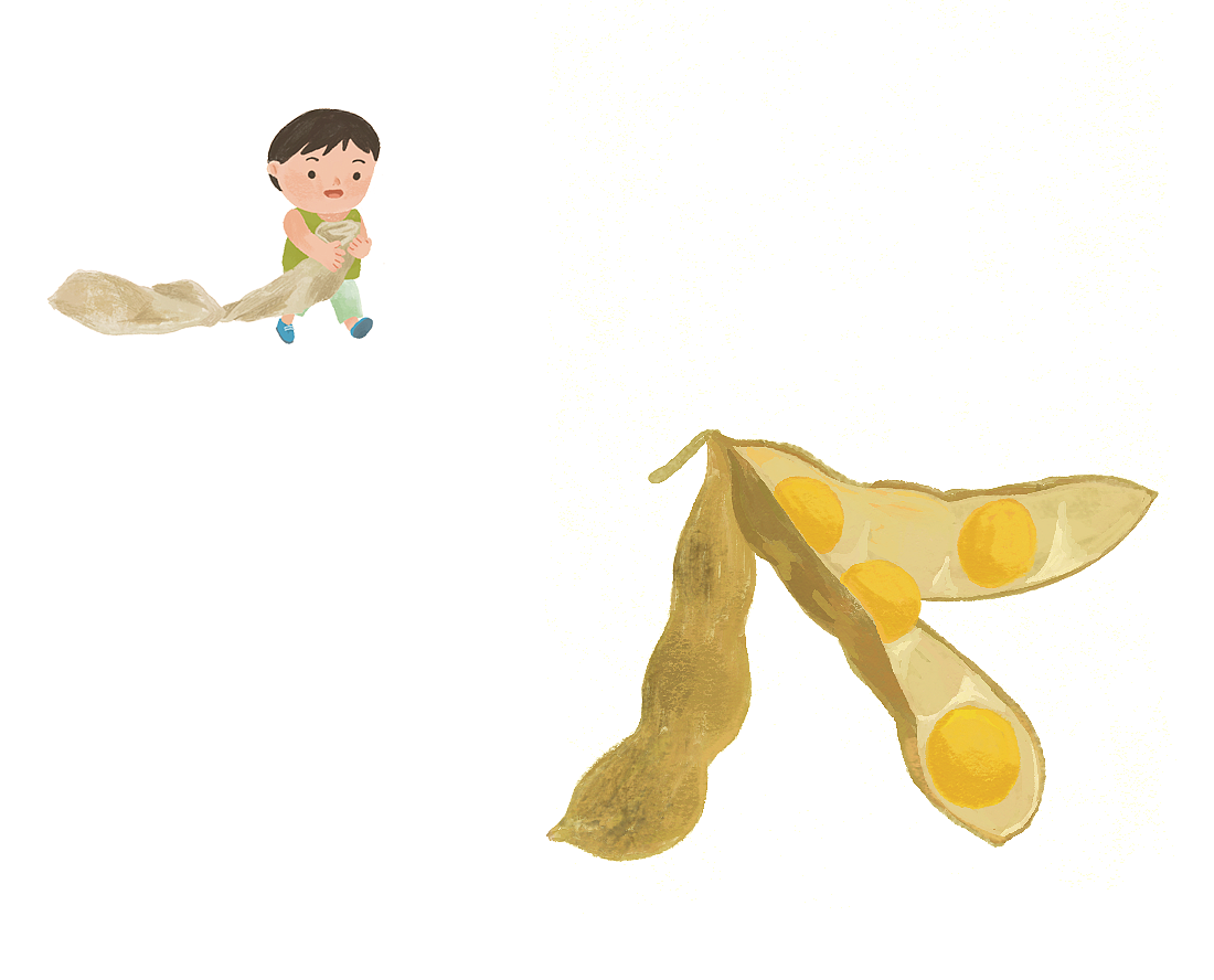 绘本《种豆子啦》_三条st-站酷ZCOOL