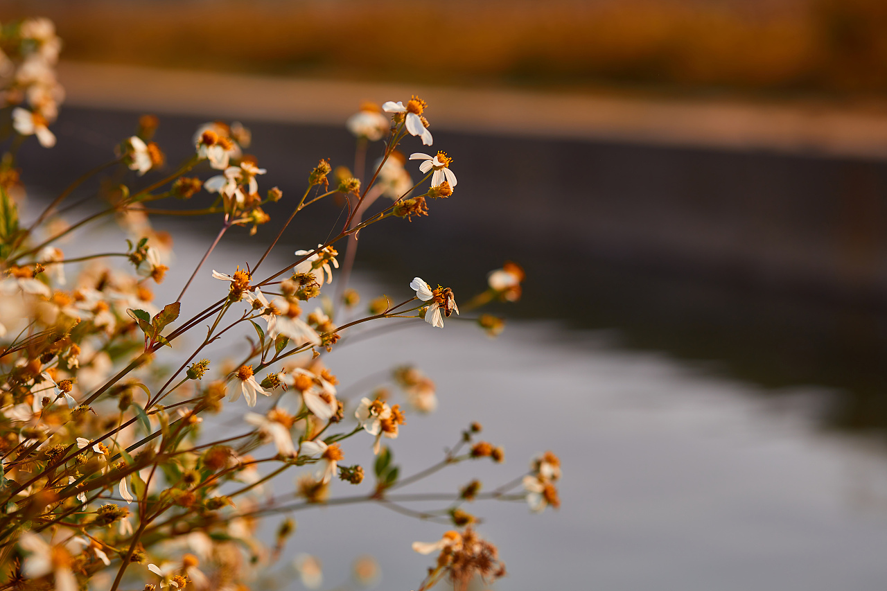 春_路途不坦-站酷ZCOOL