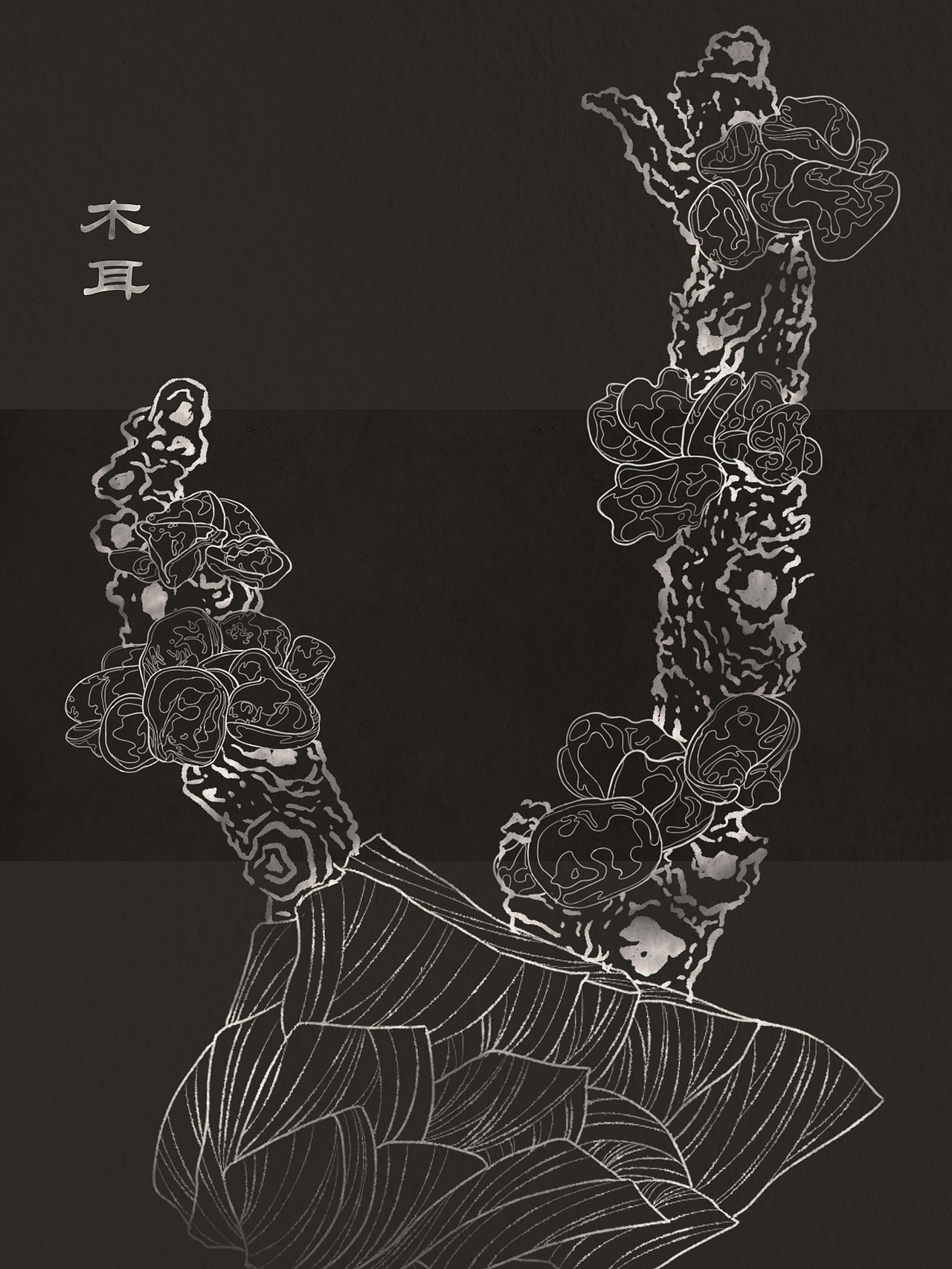 琥珀之都——抚顺_贝多贝BedoBee-站酷ZCOOL