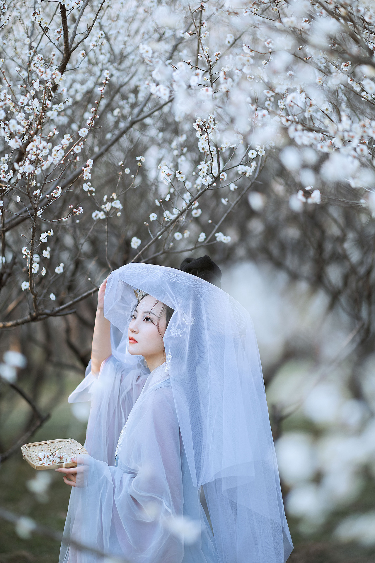 傲雪梅_若寒Rock-站酷ZCOOL