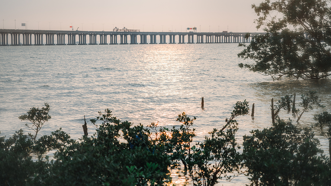 初见你 蓝色清晨_Binminem-站酷ZCOOL