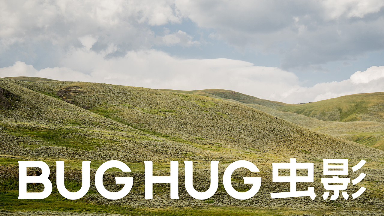 虫影BUG HUG-品牌升级-户外露营_2C4Design-站酷ZCOOL