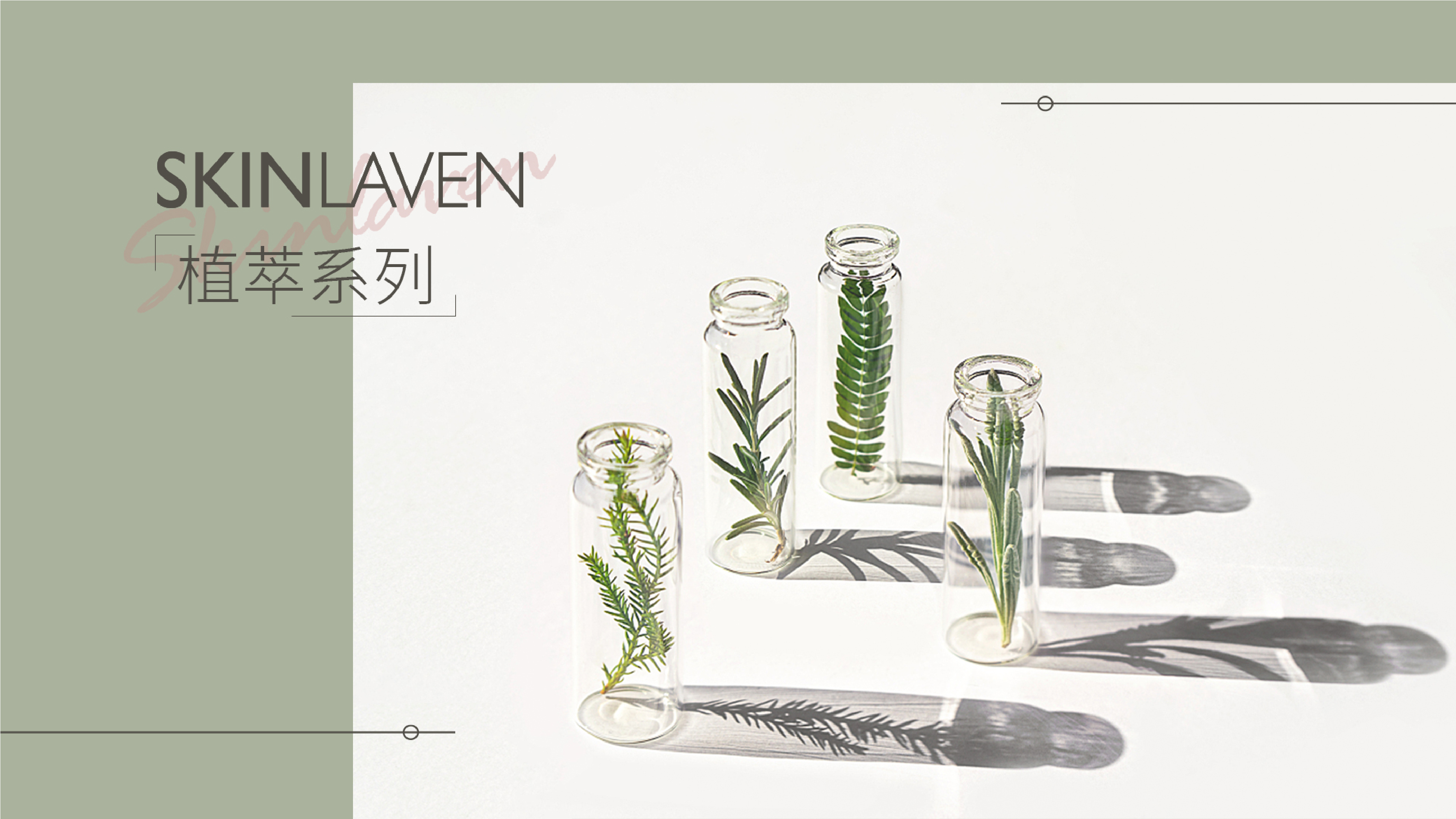 原萃液系列包装设计_冬青_Holly-站酷ZCOOL