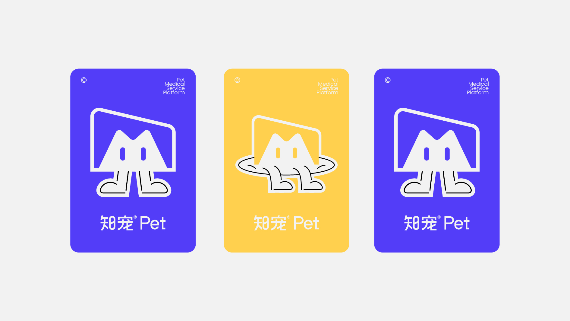 知宠Pet丨宠物医疗线上服务平台_CubicJ-站酷ZCOOL