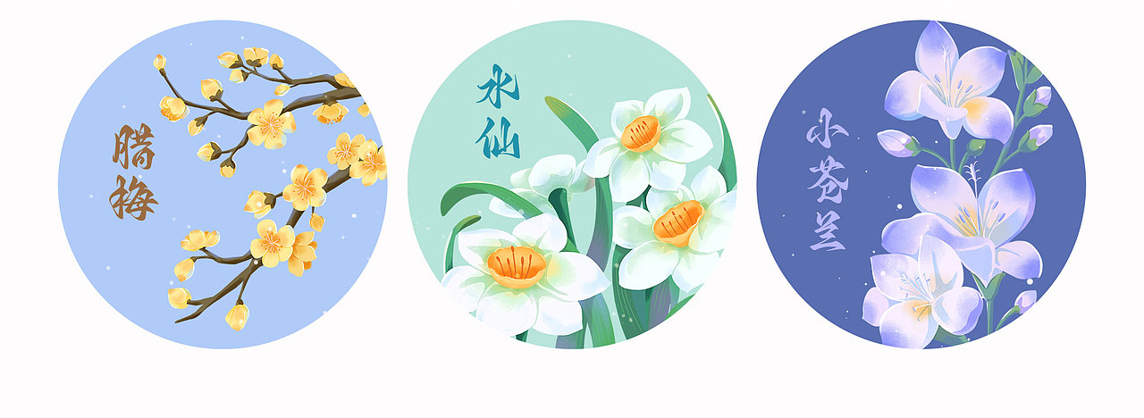 Dily与二十四节气花邂逅_莫莫n_n-站酷ZCOOL