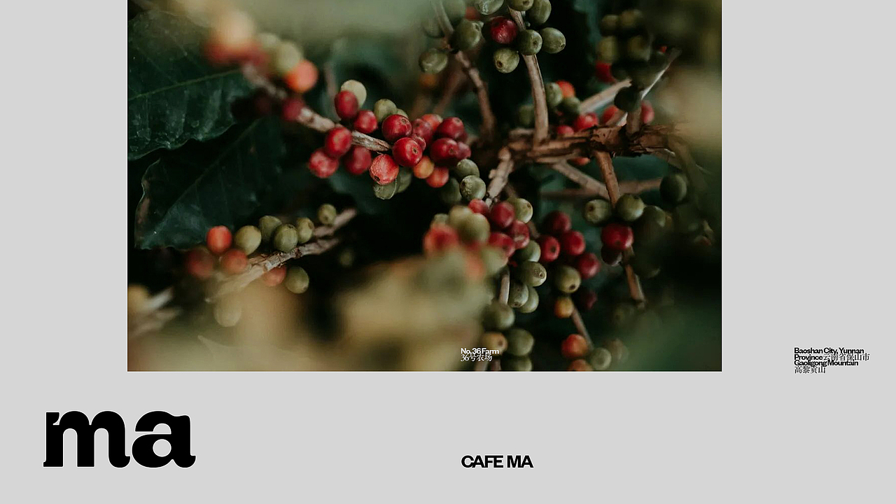 cafe ma 咖啡品牌标志设计、咖啡包装设计_张韬zhangtao-站酷ZCOOL