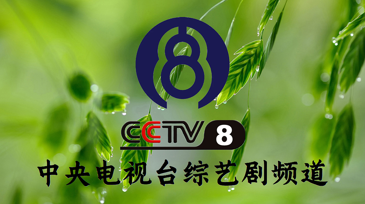 PS中央电视台综艺剧频道（谷雨版）12P_lipeiqi001-站酷ZCOOL