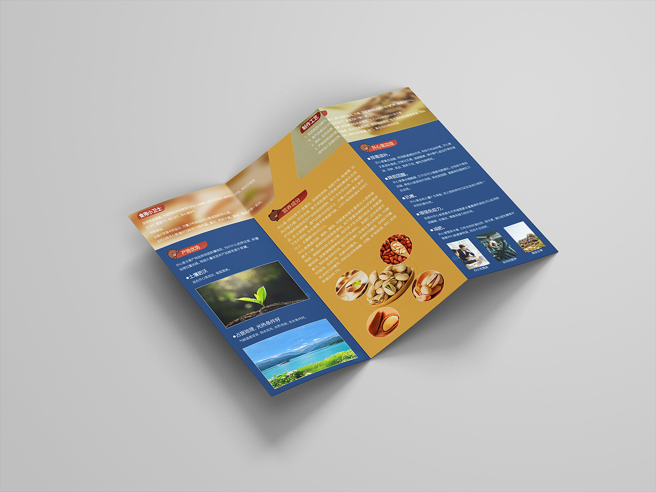 产品介绍类三折页_WS王尚-站酷ZCOOL