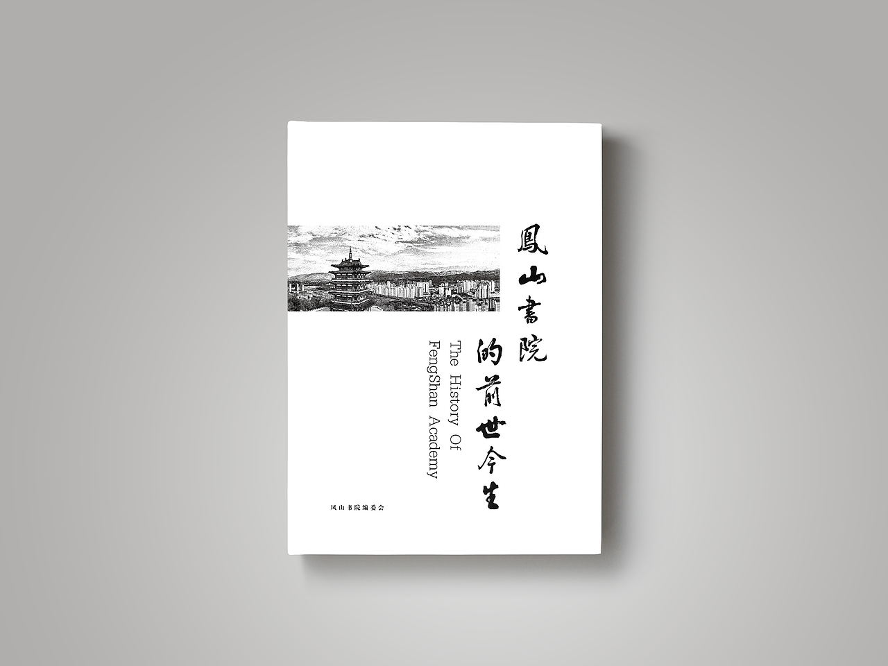 书籍封面-艺术设计装帧_张小帆JOB-站酷ZCOOL