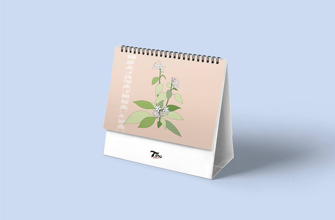 本草植物文创产品_君君JJUN-站酷ZCOOL