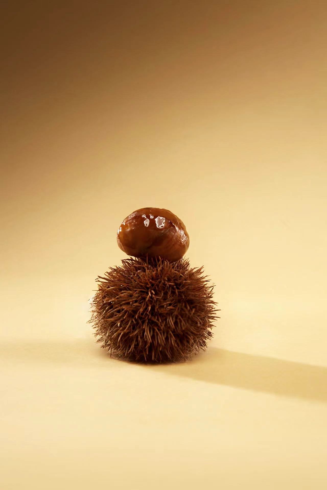 Atypic Edition｜Product Photography 生活方式 香氛_榴小北-站酷ZCOOL