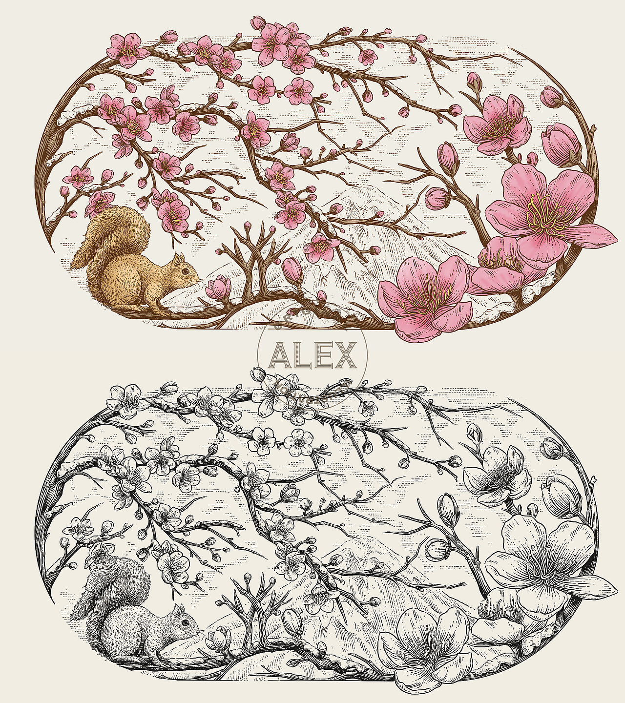 原创插画|《坚韧》_花椒的Alex-站酷ZCOOL