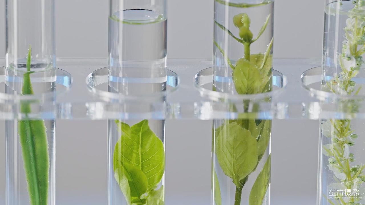 左木影视-ZROY积雪草私处护理液 电商主图视频 _左木影视-站酷ZCOOL